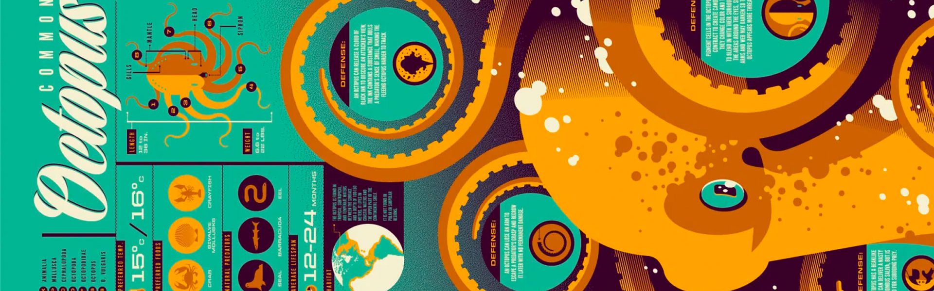 infographics-maken-met-adobe-illustrator-onderwijz